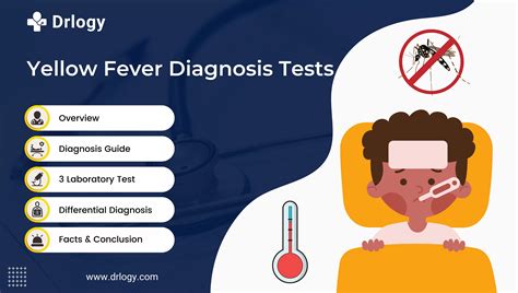 Yellow Fever Diagnosis 3 Accurate Test For Better Health