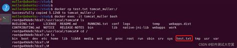 Docker Cp命令详解：在docker容器和主机之间复制文件文件夹霍格沃兹测试开发学社infoq写作社区