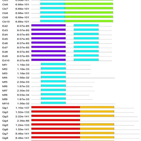 Meme Multiple Expectation Minimization For Motif Elicitation