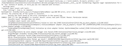 Runtimeerror Innerruntorchnpucsrcframeworkopparammakercpp208