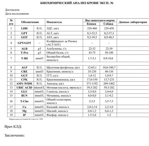 Аналіз крові кішок розшифровка з нормами та відхиленнями результатів Сторінка 3