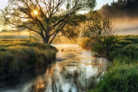 Yet Another Wotus Lawsuit Proag