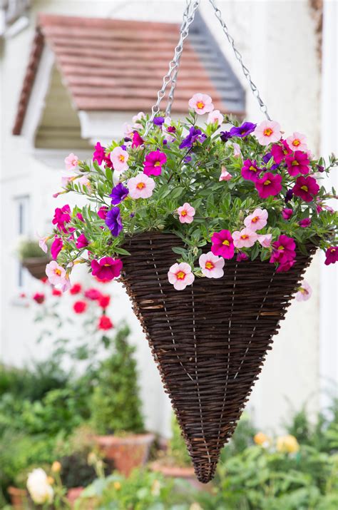 Marvelous Cone Shaped Hanging Flower Baskets Cool Plant Hangers