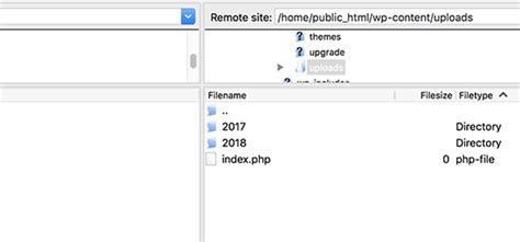 How To Bulk Upload Files In Wordpress Media Library Using Ftp