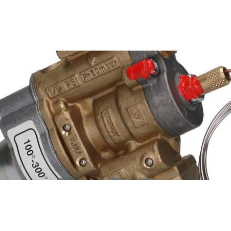 Robinet Thermostatique Gaz Pel 24sts 100 300°c