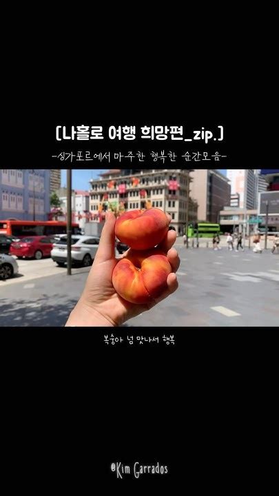 싱가포르 나홀로여행 희망편싱가폴여행 혼자여행 싱가포르브이로그 Youtube