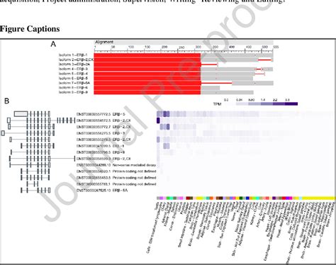 Figure 1 From Estrogen Receptor Beta Expression And Role In Cancers Semantic Scholar
