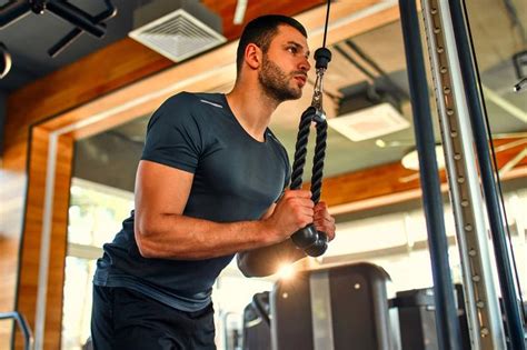 Bicep Curl Bar Workouts Amp Up Your Arm Strength T7fit