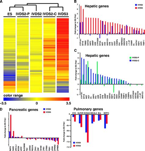 Microarray Analysis Of The Spatial And Temporal Global Gene Expression