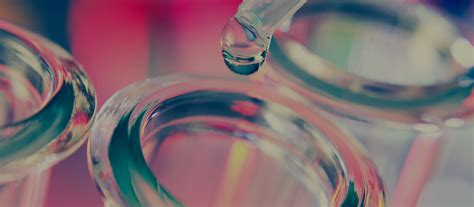 HCI Related Degrees Human Computer Interaction HCI