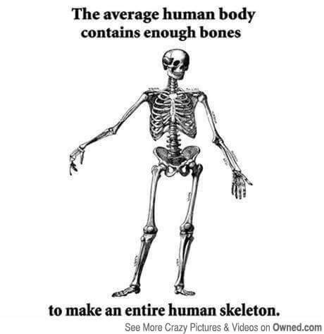 25 Skeleton Puns That Will Make You Laugh So Hard You Might Die