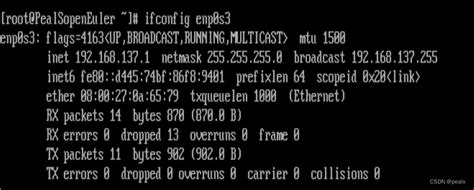 用virtualbox进行openeuler网络配置oracle Vm Virtualbox 配置openeuler网卡 Csdn博客