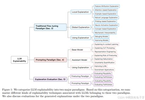 20242 Acm Explainability For Large Language Models A Survey Csdn博客