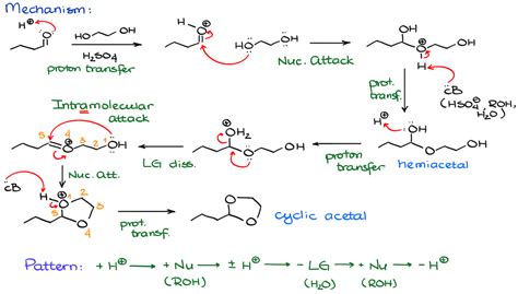 Acetals Formation And Hydrolysis — Organic Chemistry Tutor
