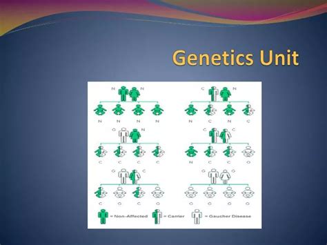 PPT Genetics Unit PowerPoint Presentation Free Download ID 2536899
