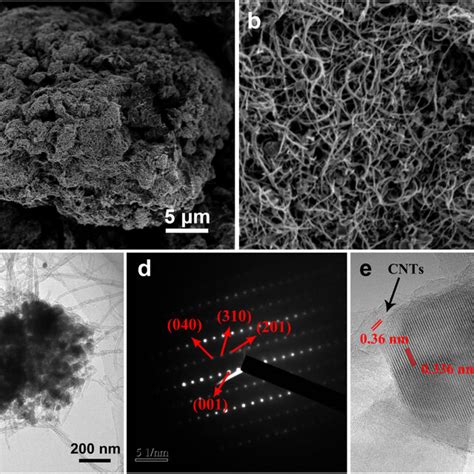 A Sem Micrograph And B High Magnification Sem Micrograph C Tem Download Scientific