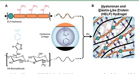Figure 3 From A Library Of Elastin Like Proteins With Tunable Matrix Ligands For In Vitro 3d