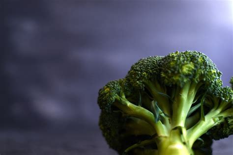 더쿠 버리지 마세요 브로콜리 줄기에 있던 ‘항암 성분
