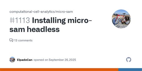 Installing Micro Sam Headless · Issue 1113 · Computational Cell