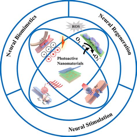 Photoactive Nanomaterials For Wireless Neural Biomimetics Stimulation And Regeneration Acs Nano