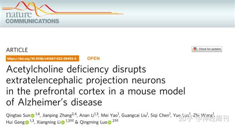 Nature子刊：骆清铭院士揭示阿尔兹海默症短期学习记忆障碍的神经环路机制 知乎