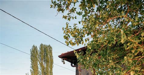 집 앞에 앉아 있는 잔디 의자 사진 Unsplash의 정원 이미지