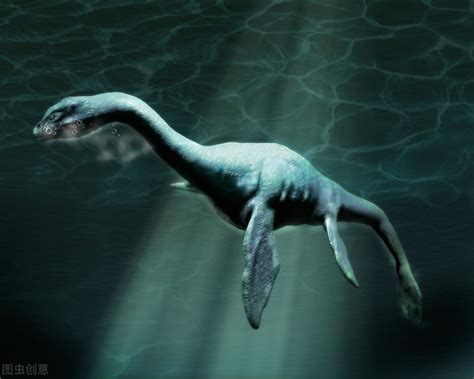 Japanese Fishing Boats Once Salvaged The Carcass Of A Sea Monster