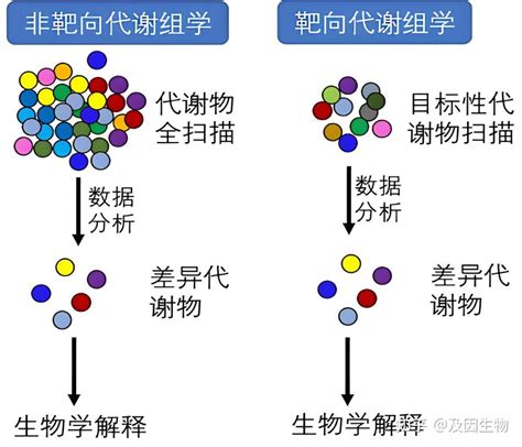 代谢组学专题丨一文带您了解最全代谢组学研究思路！ 知乎