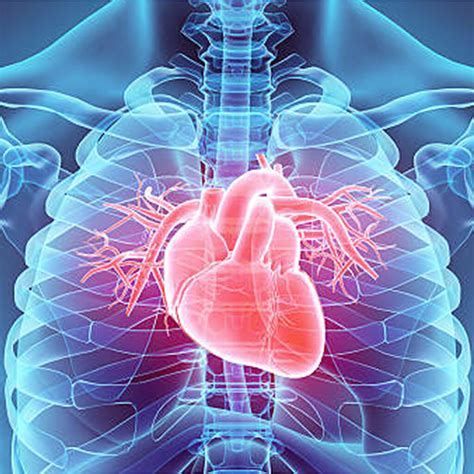 آزمایش دیگوکسین آزمایشگاه وحید