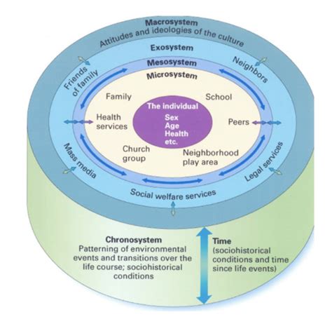 Labex 6 Flashcards Quizlet