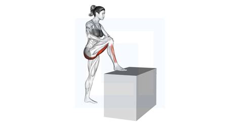 Standing Hamstring Stretch Guide Benefits And Form