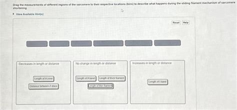 Solved Drag The Measurements Of Different Regions Of The