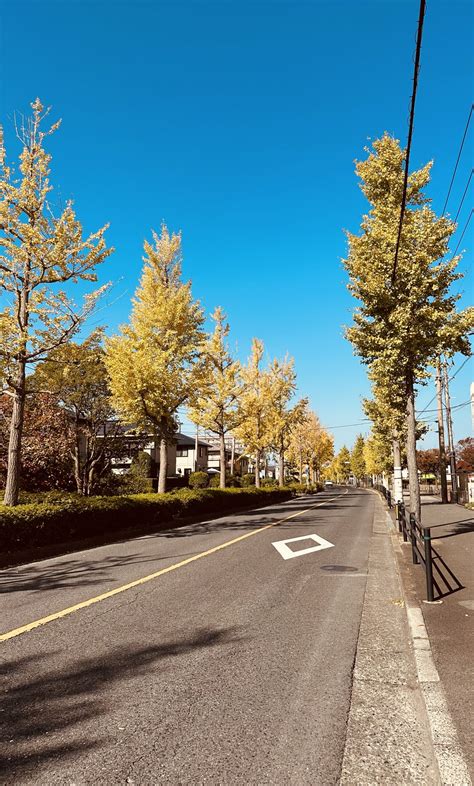 住民税を特別徴収しないといけないけど、しなくてもいい人ってどんな人？ ひまわり