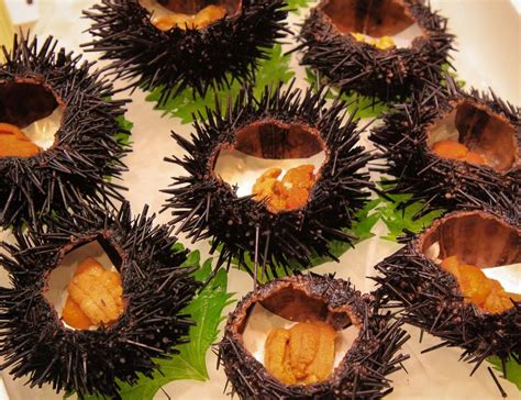Uni Sea Urchin