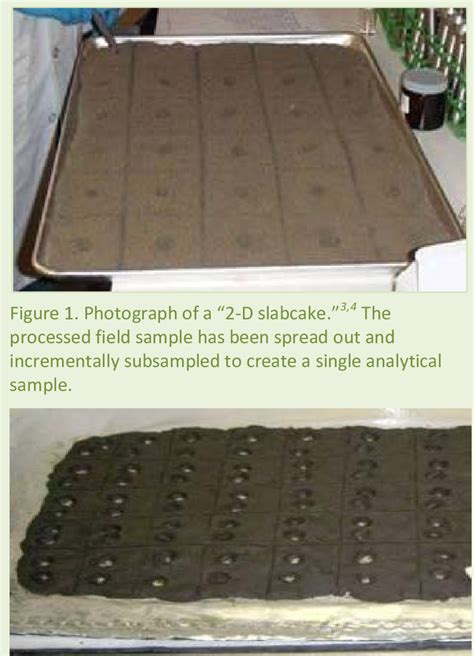 a laboratory duplicate requires another incremental subsample to be download scientific diagram