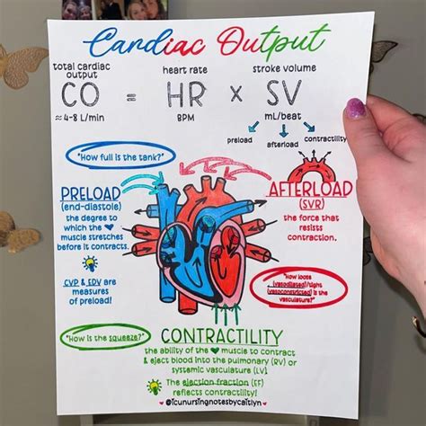 Caitlyn Nichols Bsn Rn Ccrn Cmc On Instagram Cardiac Output Made Visual 🤩🫀 But What