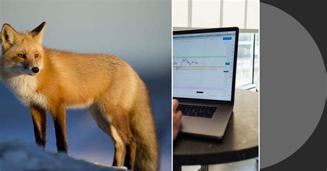 list fb prophet curated by graeme torrance medium