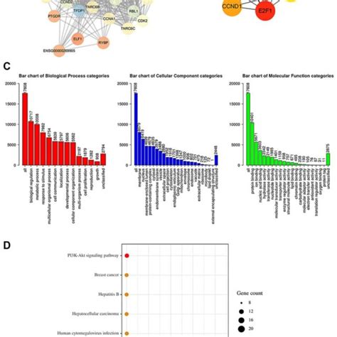 Protein Protein Interaction Ppi Network Construction And Gene