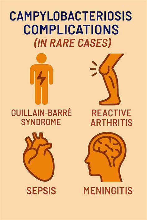 Campylobacteriosis Campylobacter Infection And Food