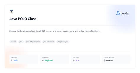 Java Pojo 마스터하기 Plain Old Java Objects 의 강력한 기능 활용 Labex