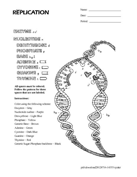 Replication Worksheet For 9th Higher Ed Lesson Planet
