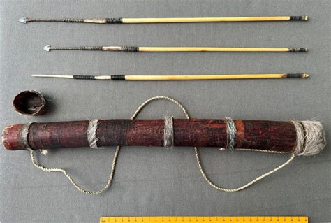 Composition Of Bushmen Arrows Bushguide 101