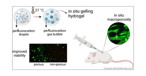 Injectable Macroporous Hydrogels By Combining The Rapid Evaporation Of