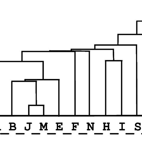 Dendrogram Of Classification Of The Experts For The Technique 3 Payment