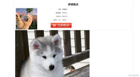 基于java的实现宠物管理系统的设计与实现 Csdn博客