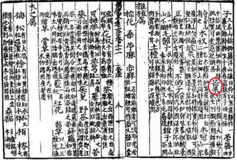 术语科普 杧果与芒果 哔哩哔哩