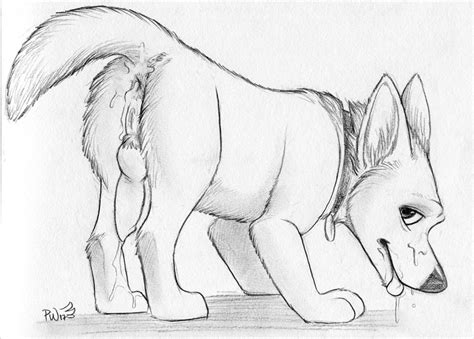 Rule 34 2017 After Sex Animal Genitalia Animal Penis Ass Blush Bolt