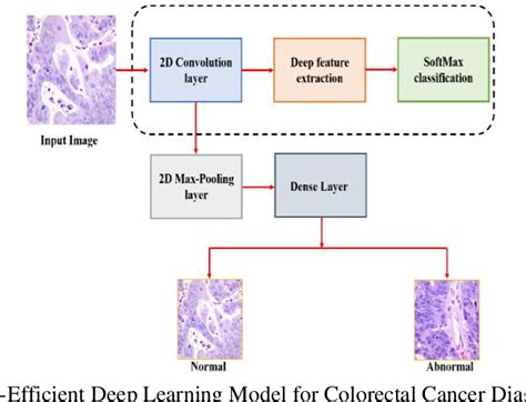 Figure 1 From Cost Efficient Deep Learning Model For Colorectal Cancer Diagnosis Leveraging