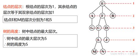 数据结构与算法 期末备考重点总结 数据结构与算法 重点总结北京理工大学 csdn博客