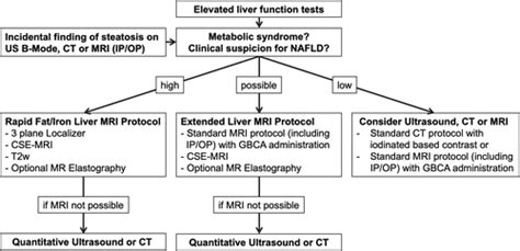 Quantification Of Liver Fat Content With Ct And Mri State Of The Art